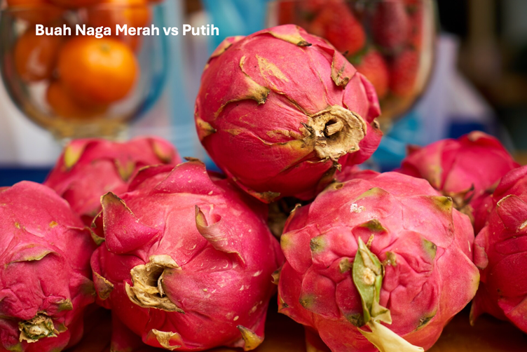 Buah Naga Merah vs Putih: Perbedaan Rasa, Nutrisi, Manfaat - BAMS