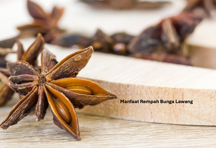 Apa Manfaat Rempah Bunga Lawang untuk Kesehatan? - BAMS